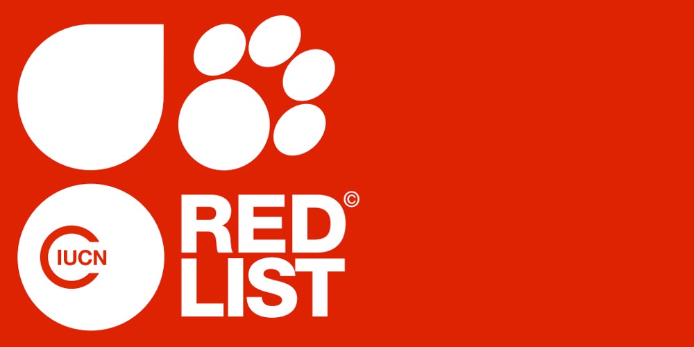 Red List - AIIS GROUP